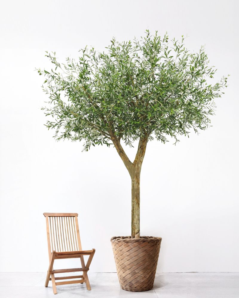 Handmade Large Luxury Faux Olive Tree - Fire Retardant – Artificial Green
