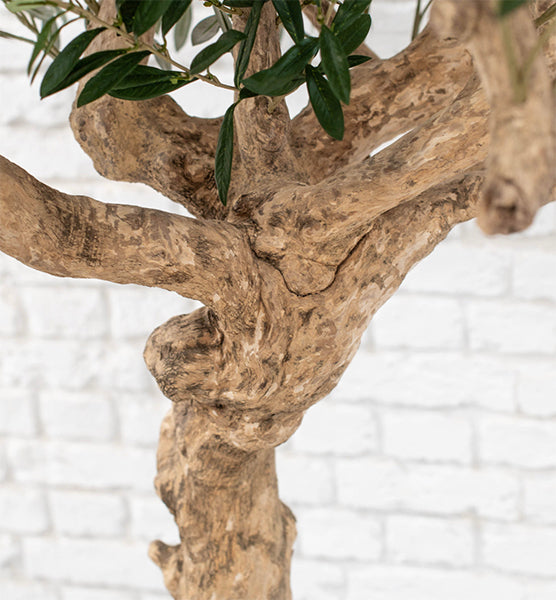 Realistic Large Artificial Olive Tree 200cm Fire Retardant UV ...