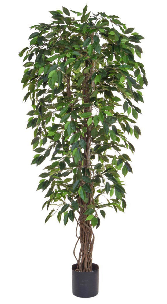 Artificial Green Ficus Liana Tree 180cm Fire Retardant