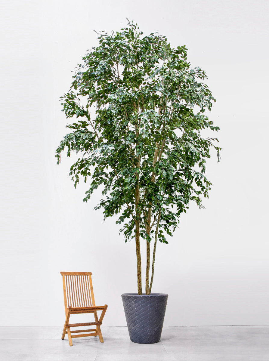 Large Ficus Exotica Artificial Tree 4m Tall Fire Retardant – Artificial ...