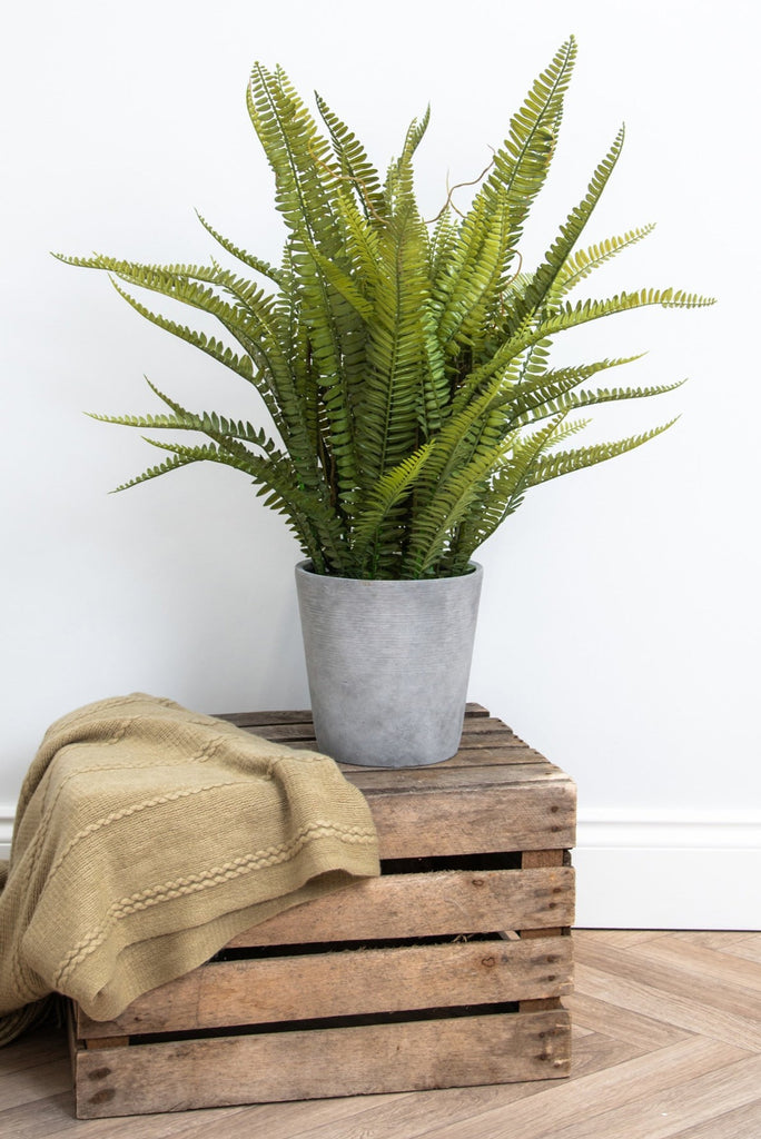 Large Boston Fern in Grey Pot 80cm – Artificial Green