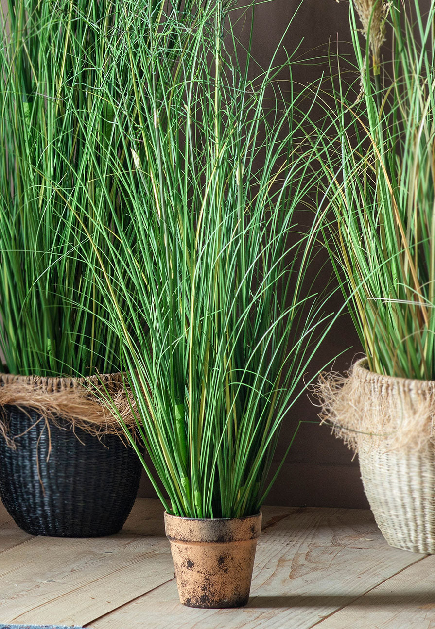 Rustic Potted Artificial Onion Grass 100cm – Artificial Green