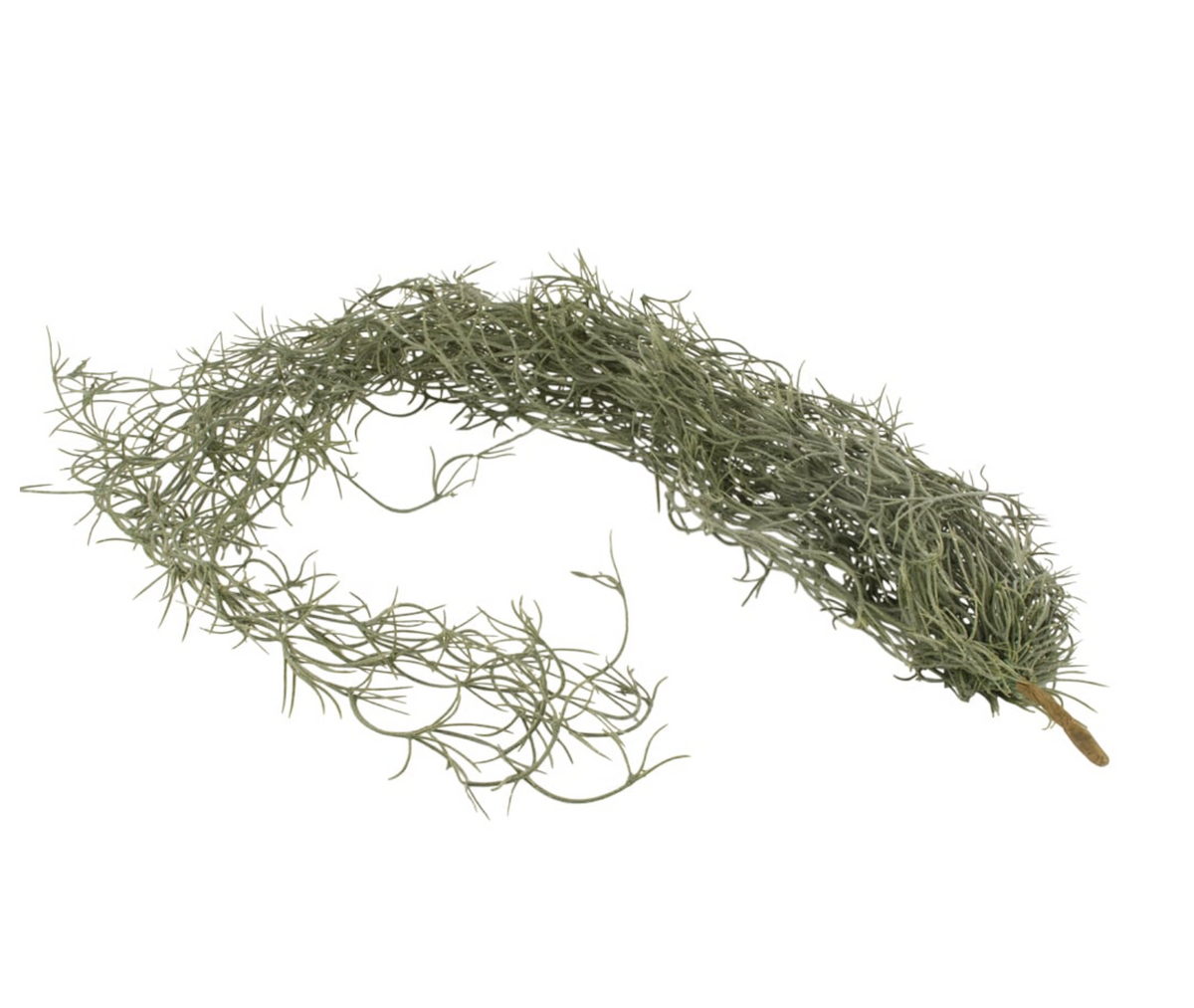 Artificial Trailing Spanish Moss Plant 76cm – Artificial Green