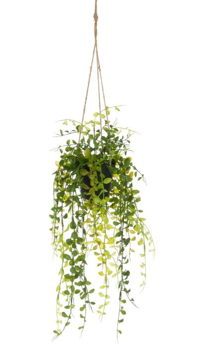 Artificial Trailing Succulent in Hanging Pot 65cm – Artificial Green