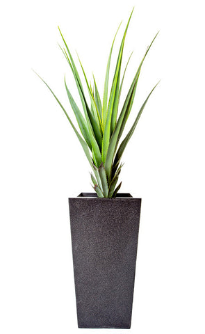 Artificial House Plants - Realistic Faux Plants – Page 4 – Artificial Green