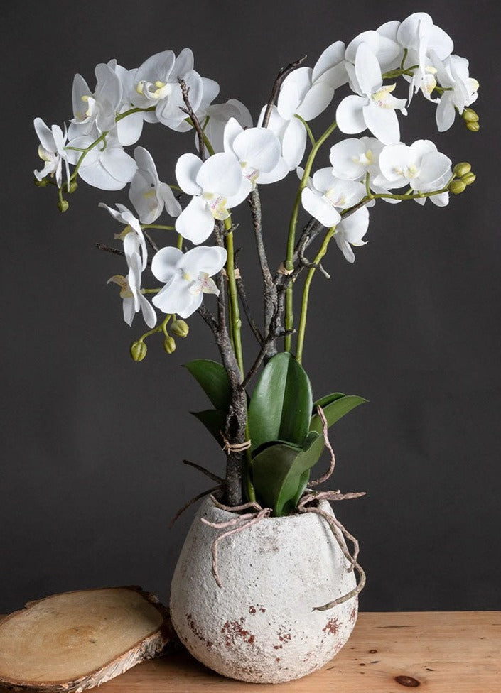 White Orchid in Rustic Stone Weathered Pot 70cm – Artificial Green